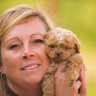 Improving the Quality of Life for Dogs, Dog Lovers and Dog Owners